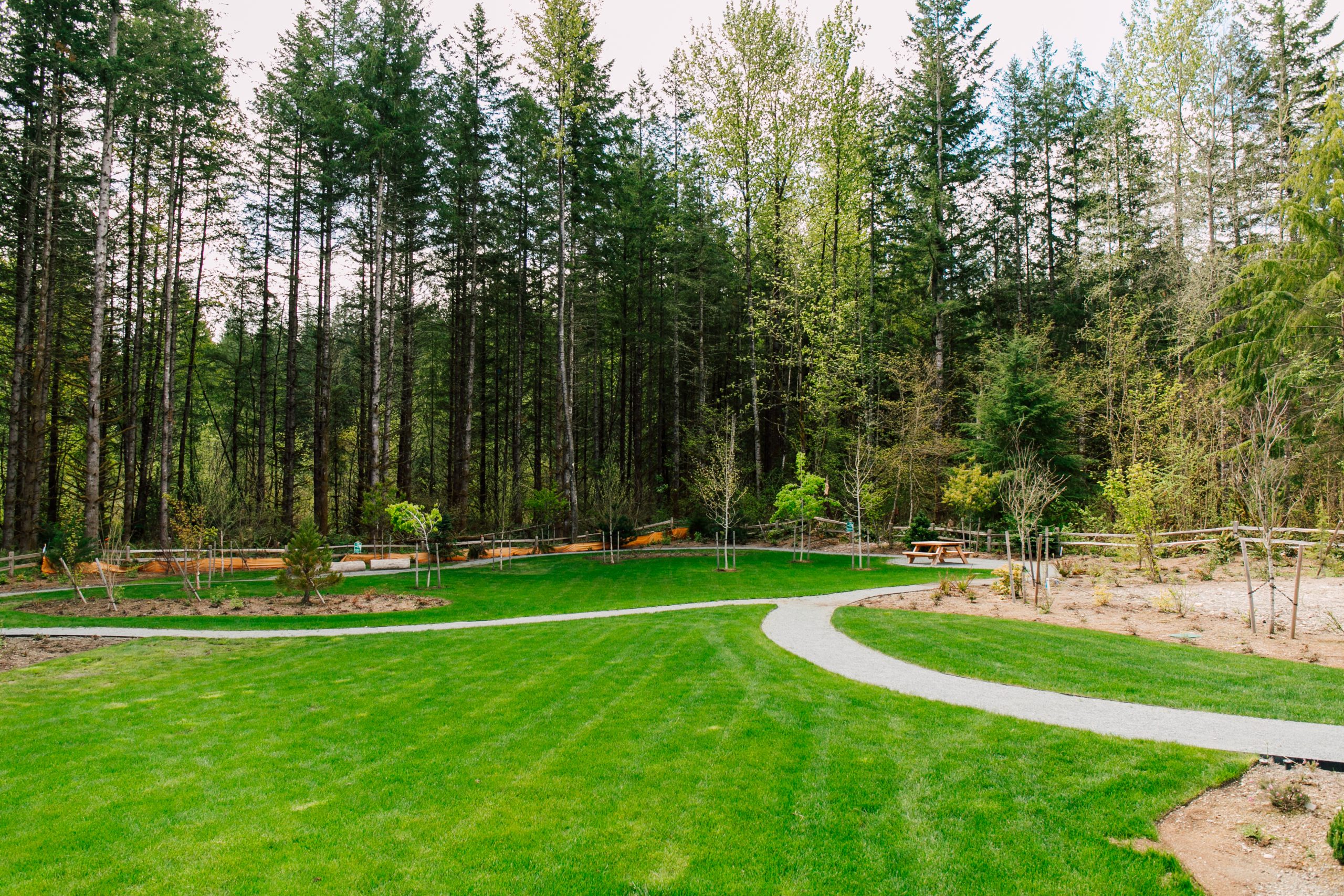 Ten Trails at Black Diamond | New Build Homes | Homes for Sale| King County