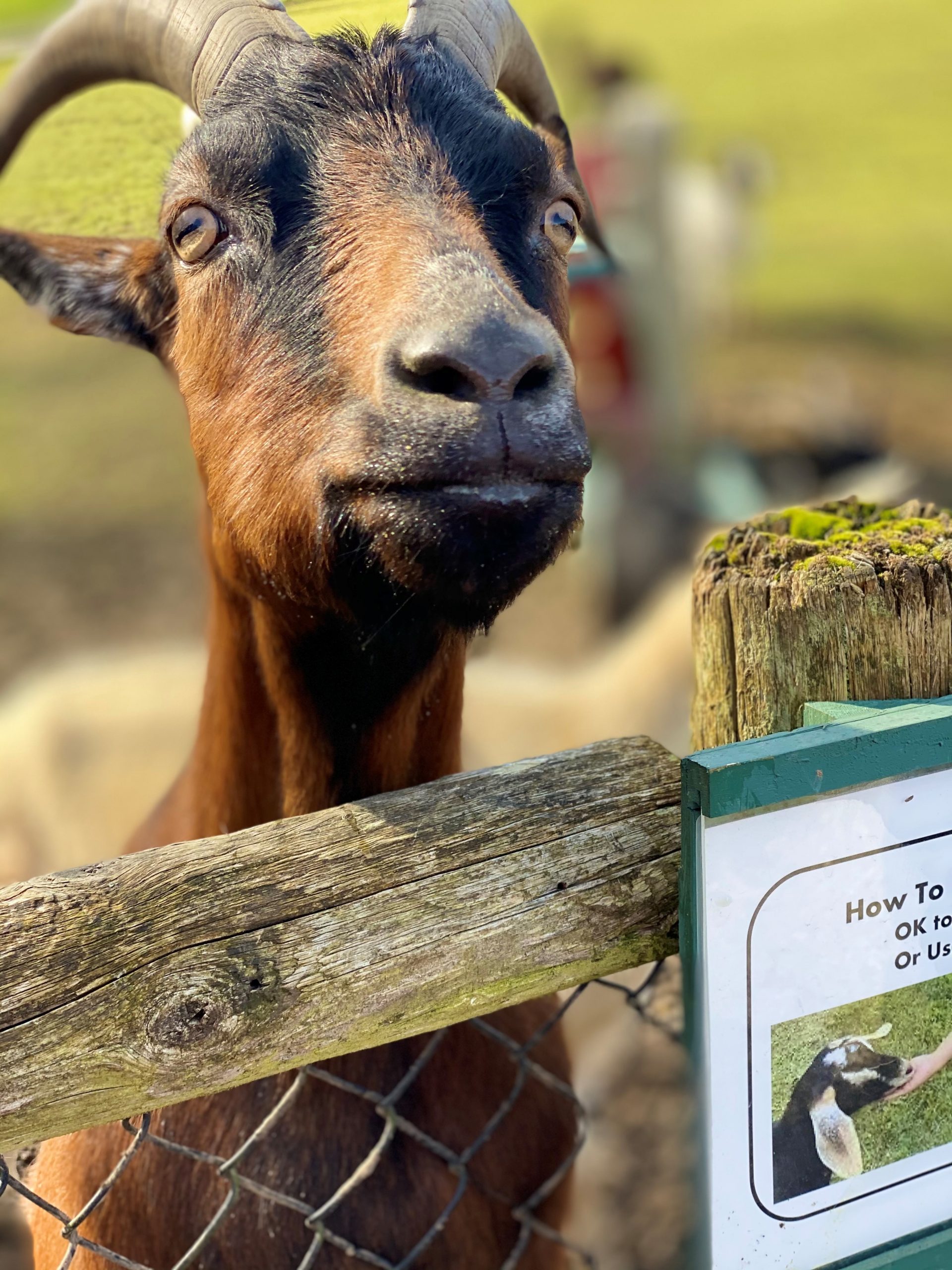 Ten Trails at Black Diamond | New Build Homes | Homes for Sale| King County